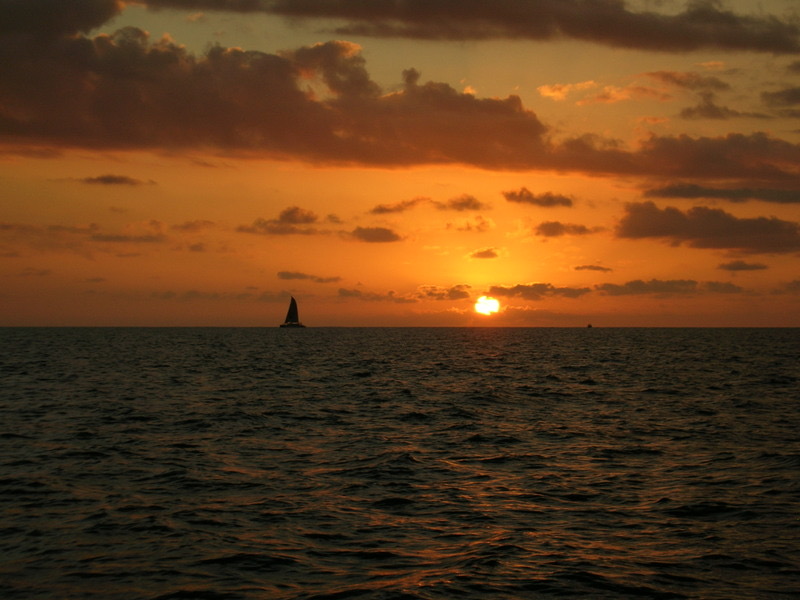 5 best Hawaii sunset cruise ideas